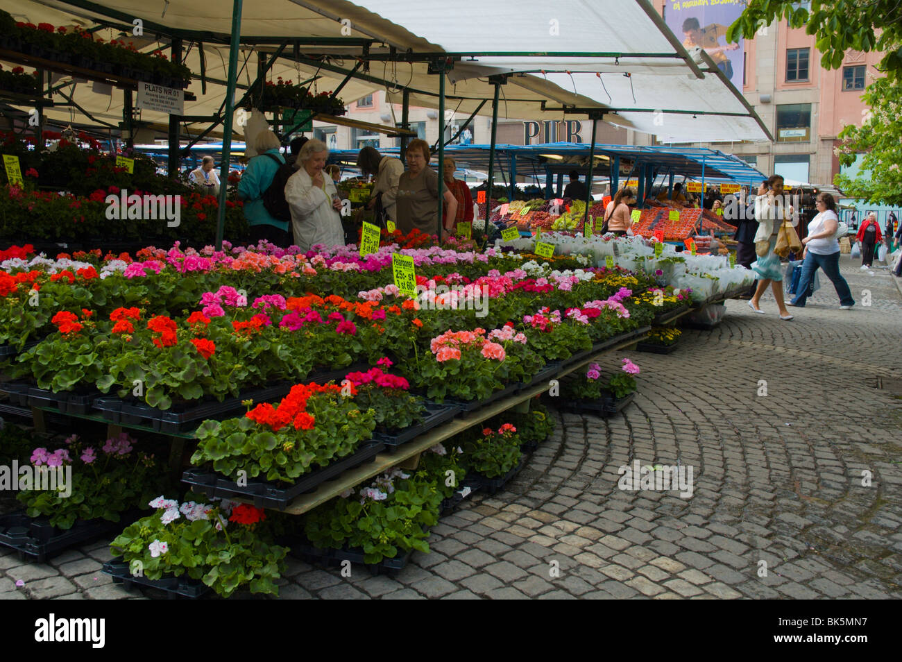 Flower stall Hötorget square central Stockholm Sweden Europe Stock ...