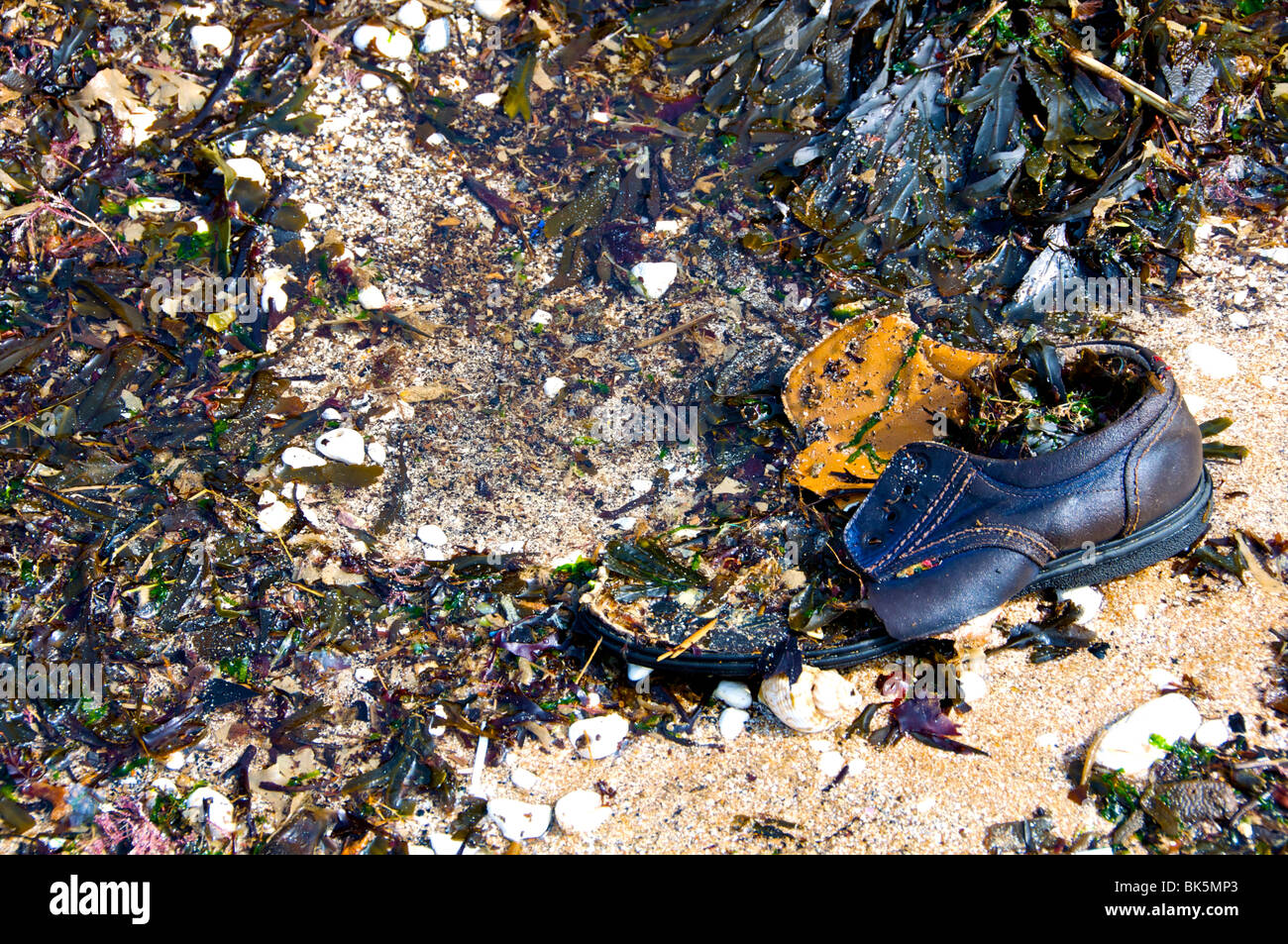 A single shoe on Broadstairs Beach, surrounded by seaweed, pebbles and ...