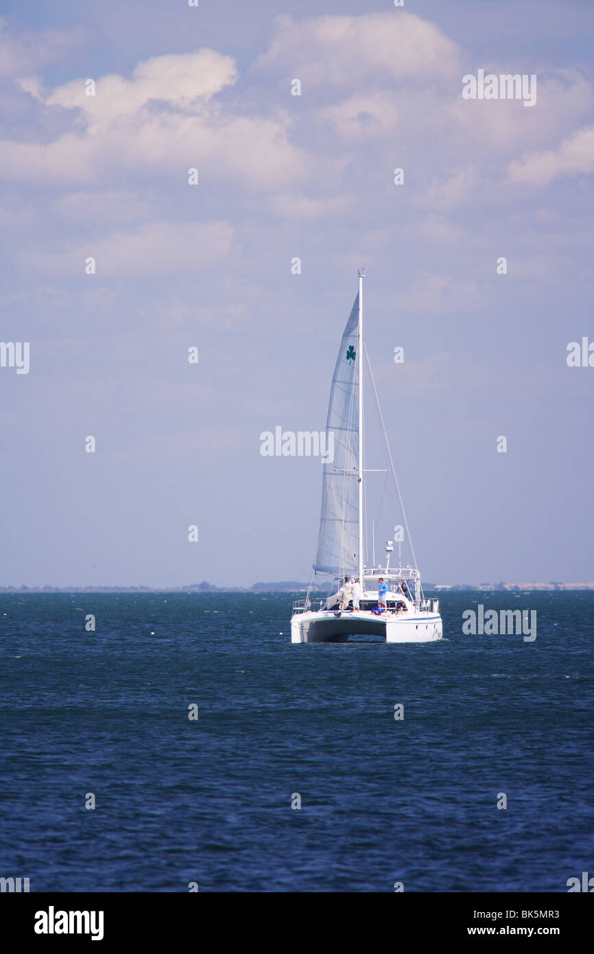 Large sail catamaran boat hi-res stock photography and images - Alamy