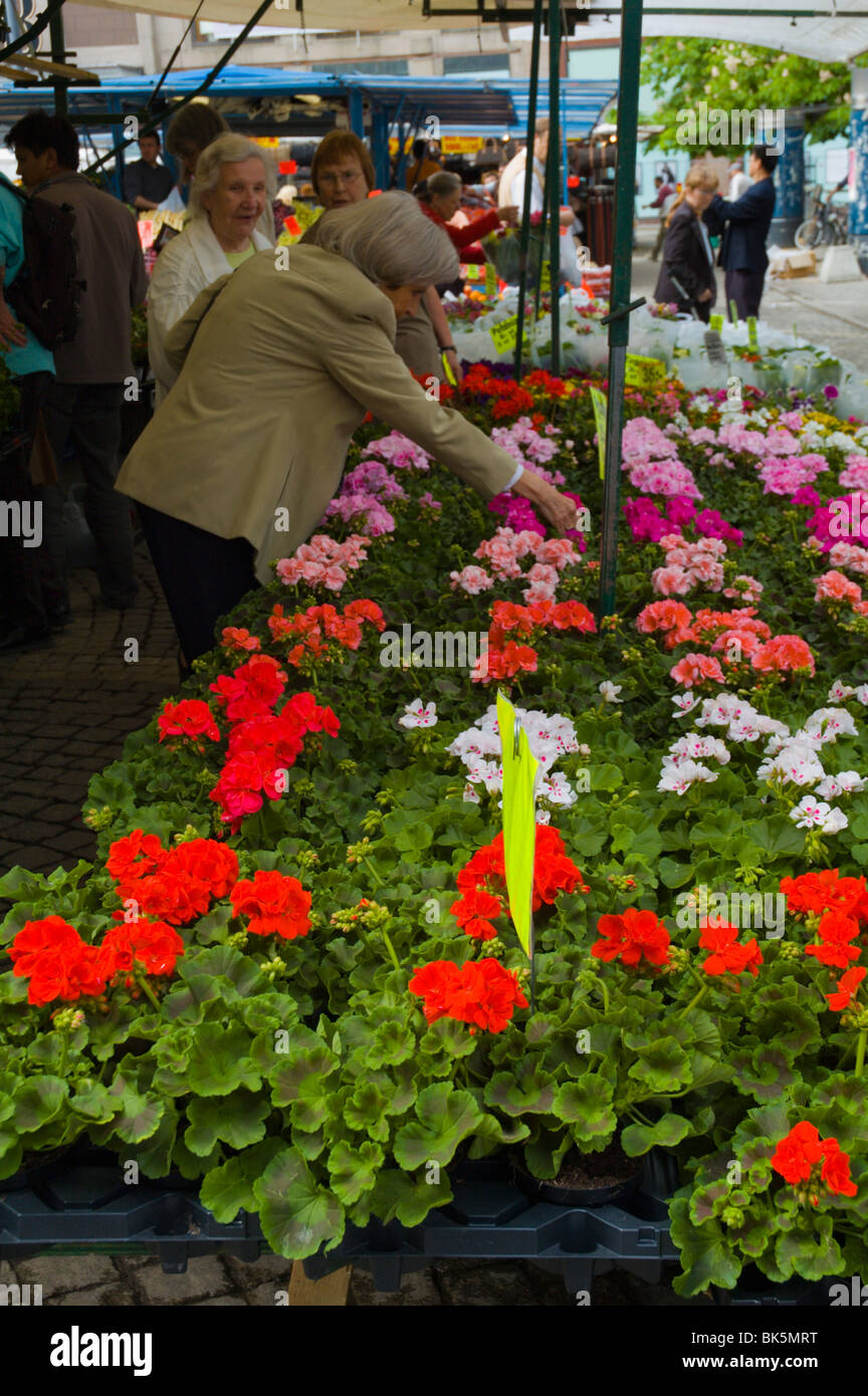 Flower stall Hötorget square central Stockholm Sweden Europe Stock ...