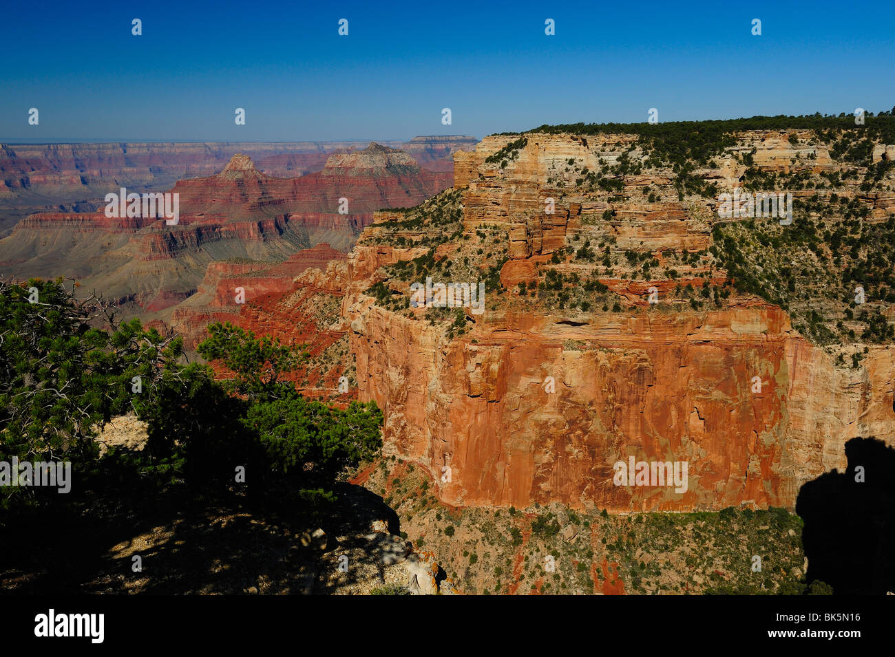 Landscape view of Grand Canyon, Arizona, USA Stock Photo - Alamy