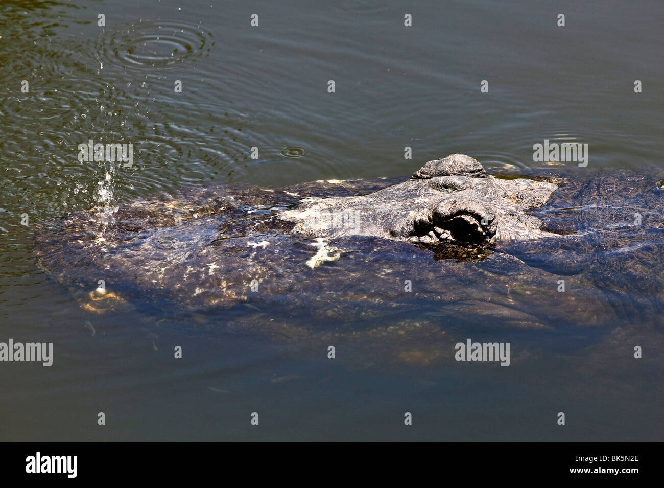 Air snap hi-res stock photography and images - Alamy