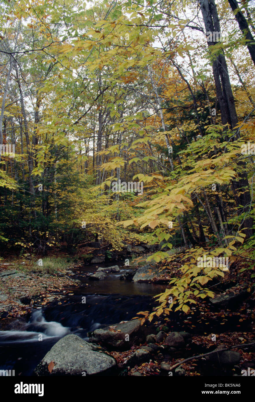 Brook angle hi-res stock photography and images - Alamy