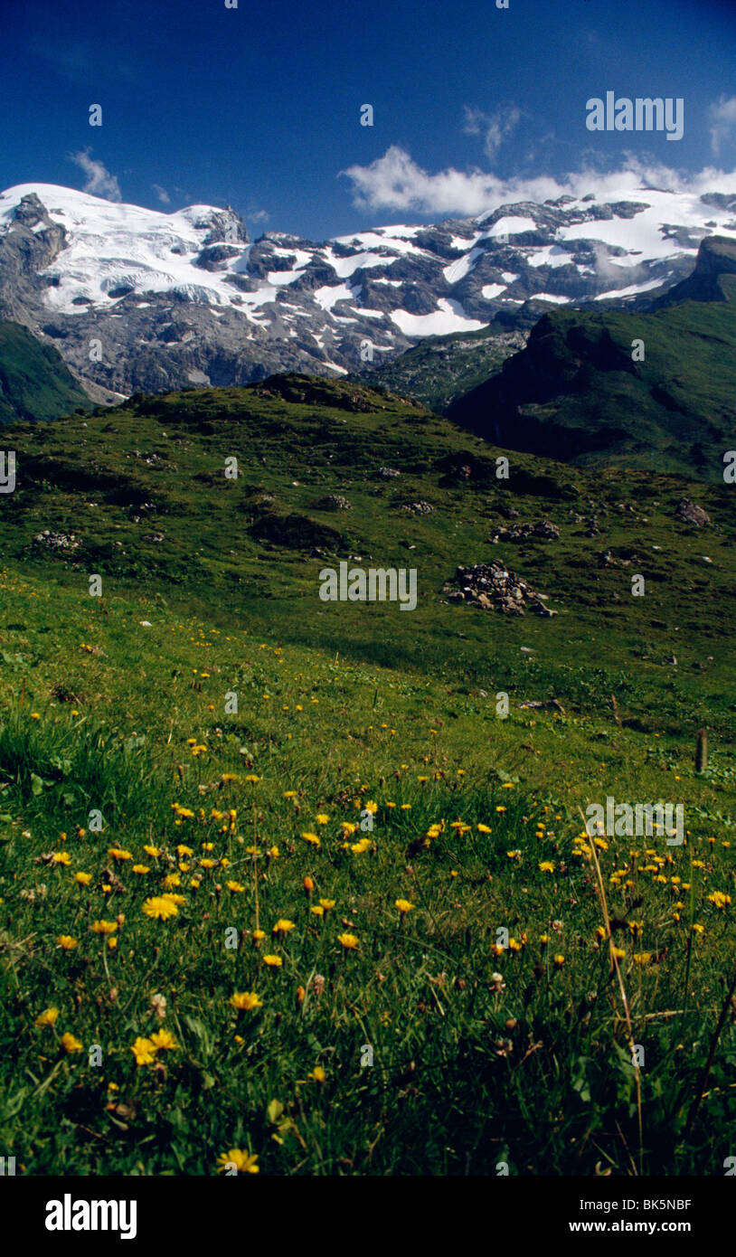 Mount Titus Switzerland Stock Photo - Alamy