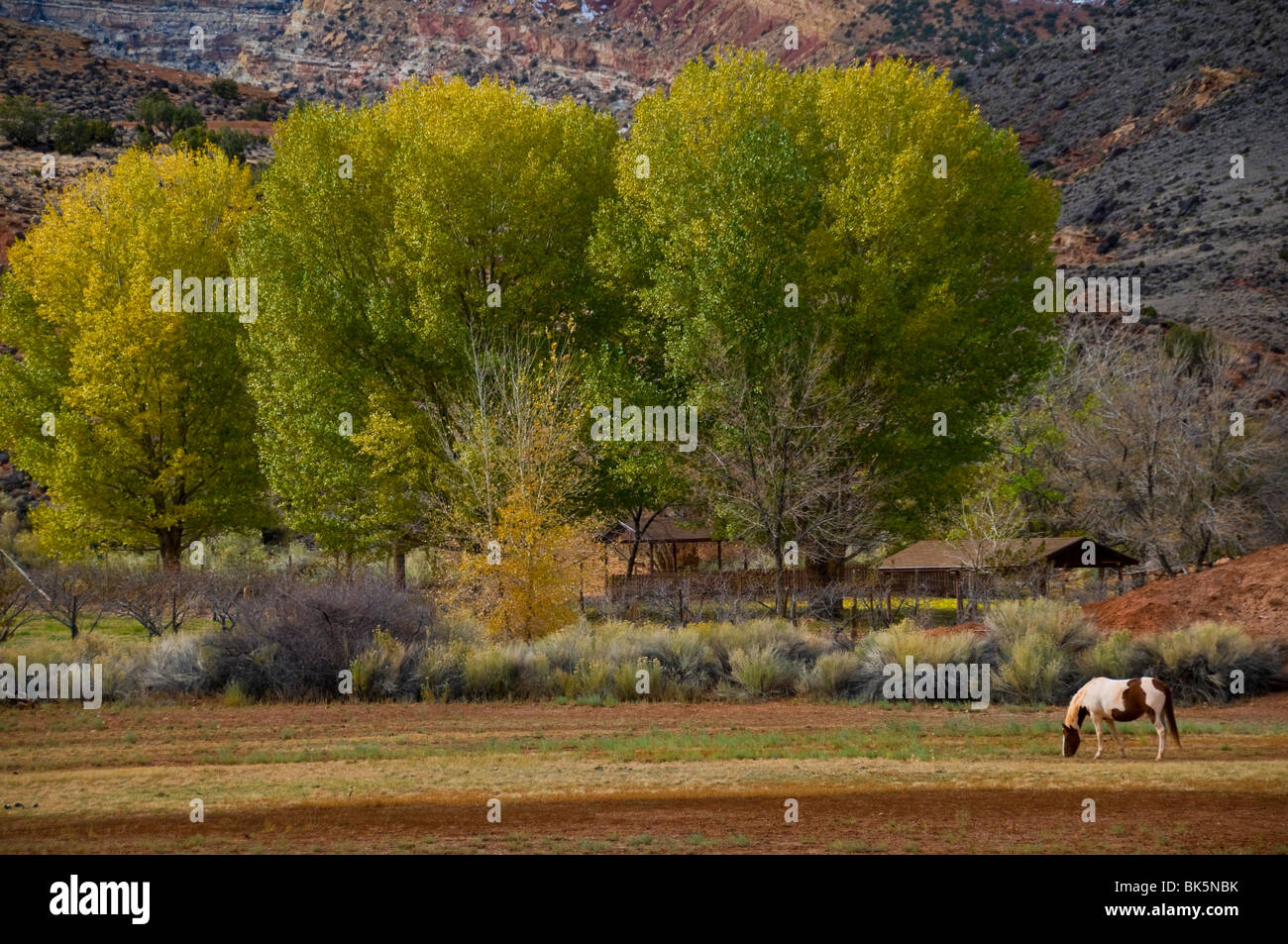 Rural scene Utah Stock Photo - Alamy