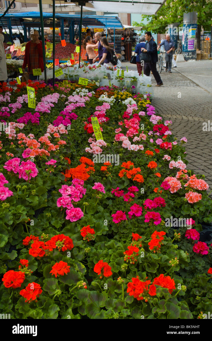 Flower stall Hötorget square central Stockholm Sweden Europe Stock ...