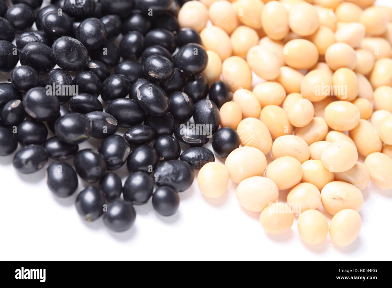 Soybean grain hi-res stock photography and images - Alamy