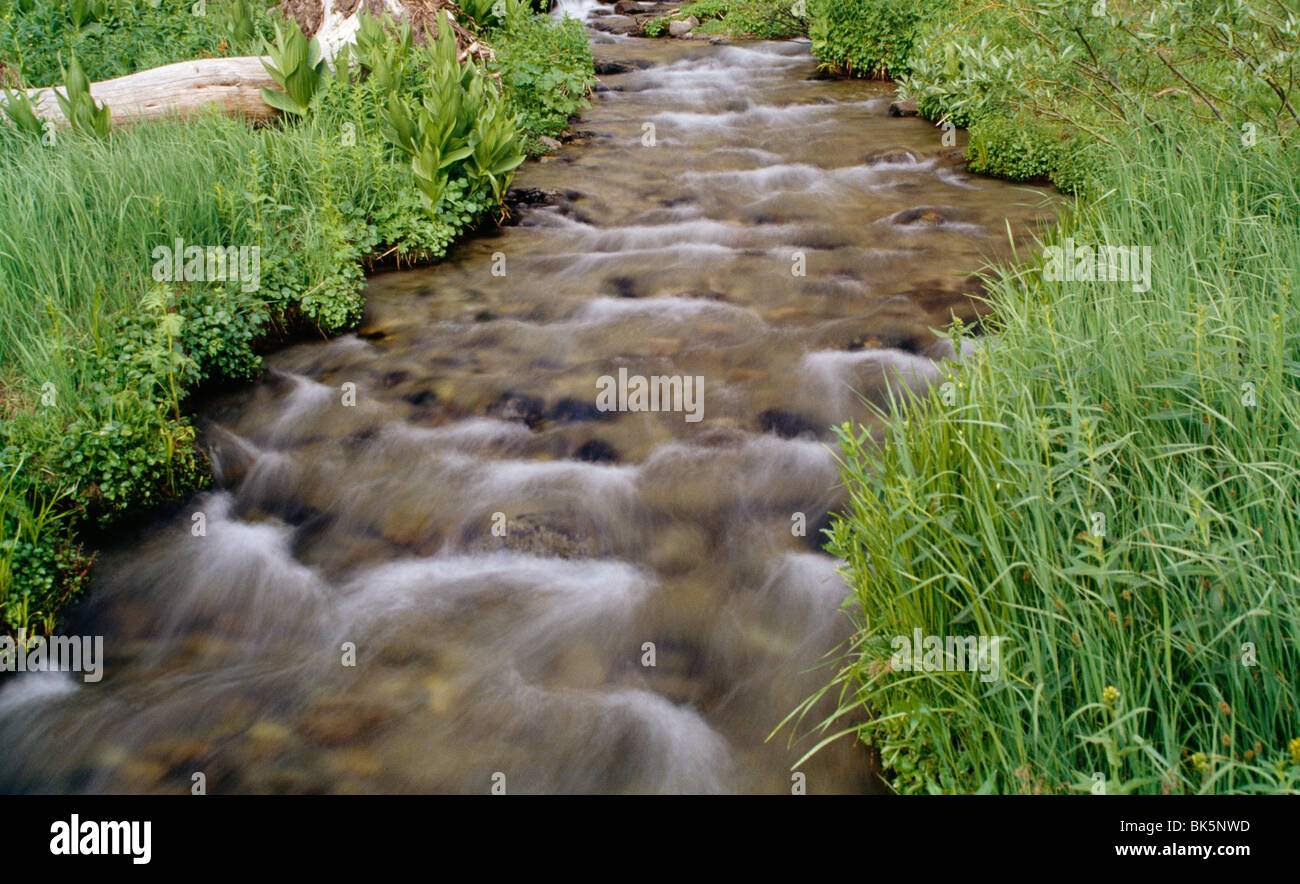 Coldwater creek hi-res stock photography and images - Alamy