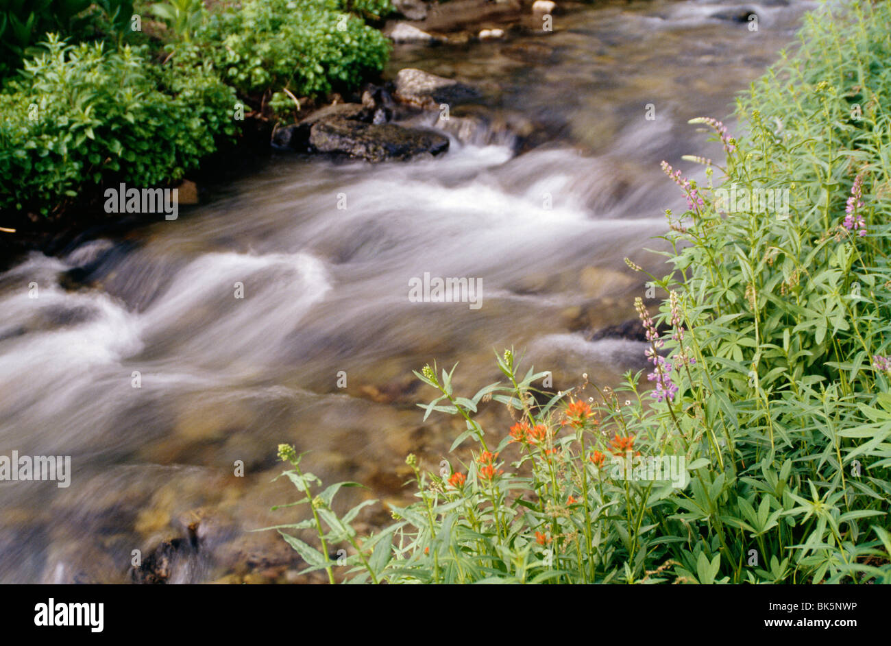 Coldwater creek hi-res stock photography and images - Alamy