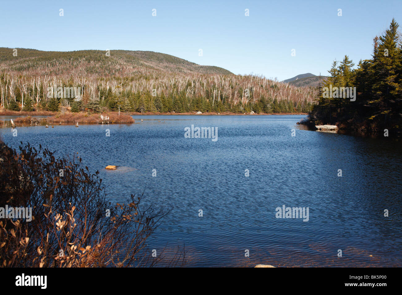 Grafton ponds hi-res stock photography and images - Alamy