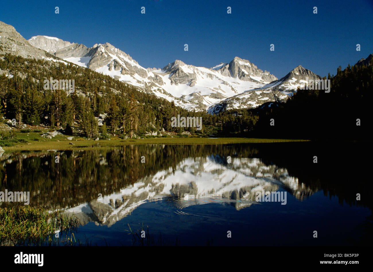 Marsh Lake John Muir Wilderness California USA Stock Photo - Alamy