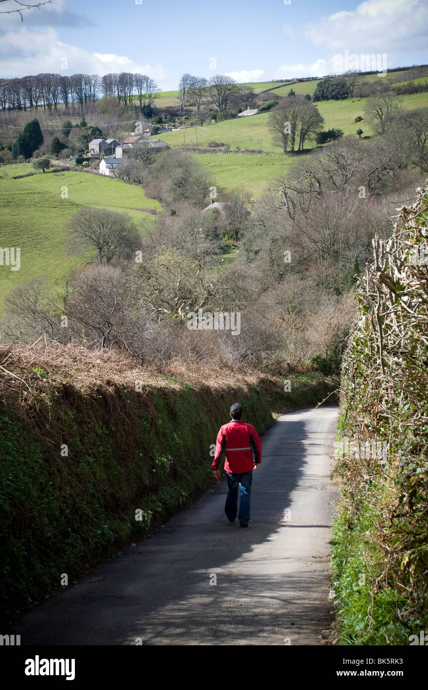 Devon bank and lane hi-res stock photography and images - Alamy