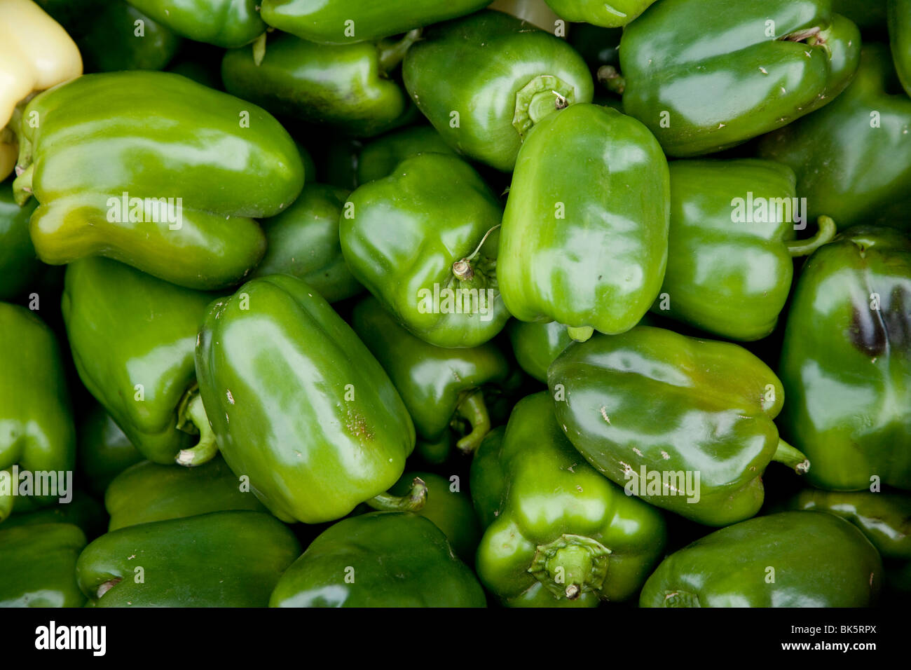 Organic Green Peppers Stock Photo - Alamy