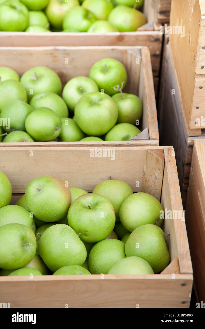 Crates of Organic Apples Stock Photo - Alamy