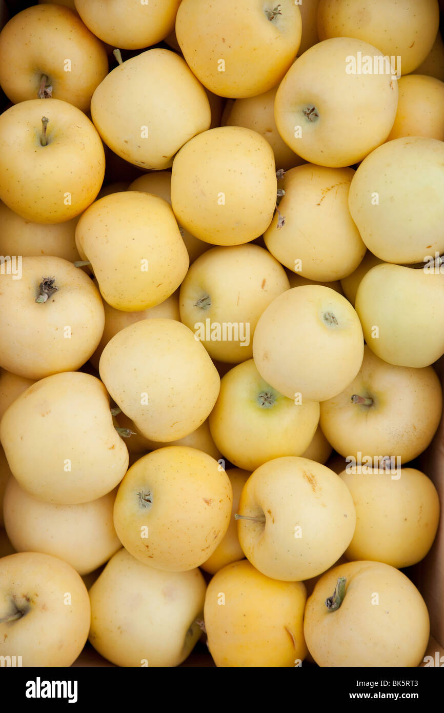 Bc apples hi-res stock photography and images - Alamy