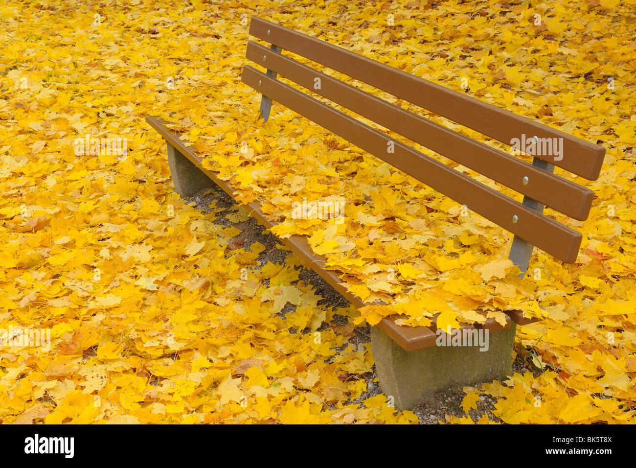 Tree park bench people german hi-res stock photography and images - Alamy