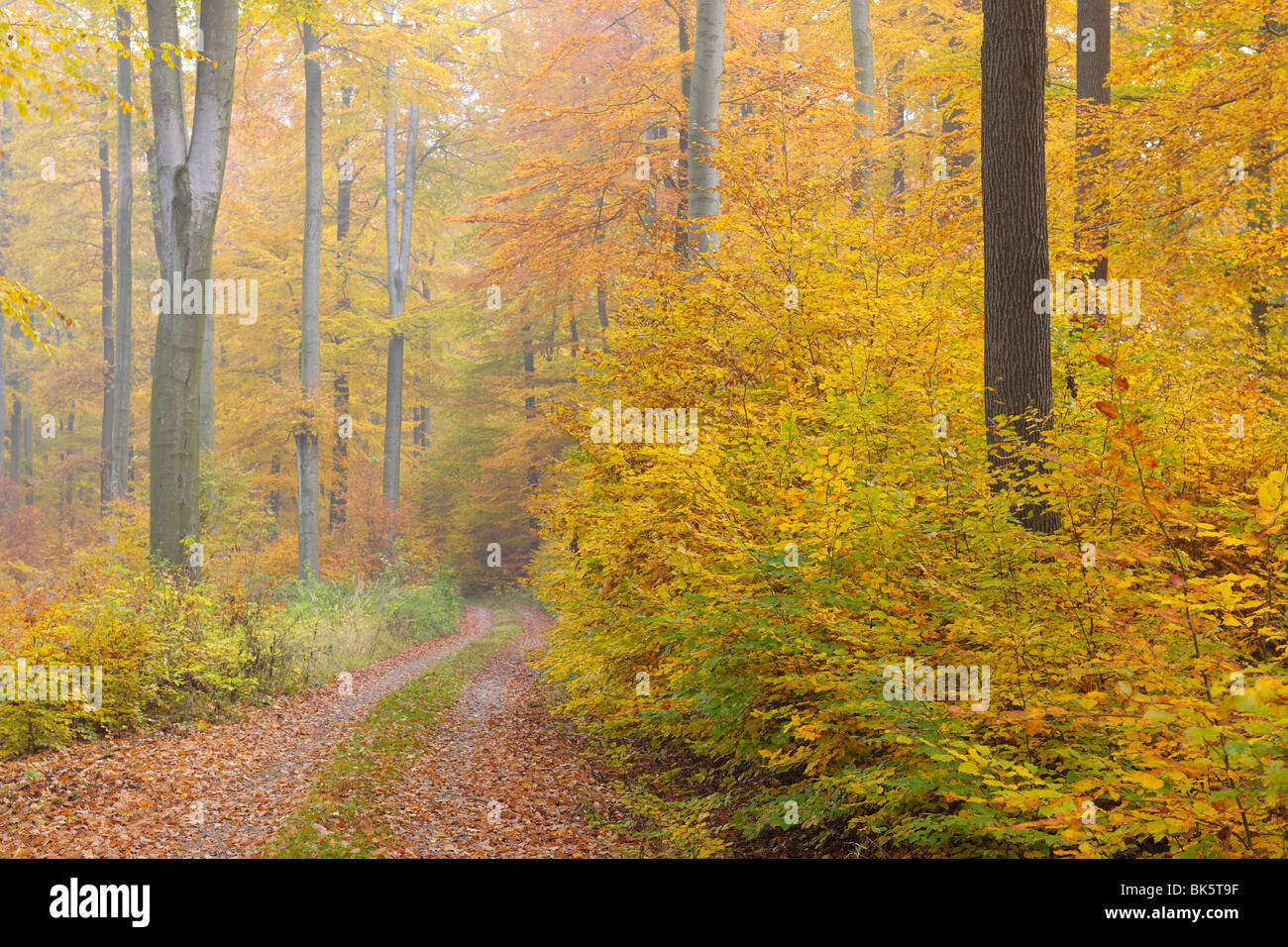Spessart way hi-res stock photography and images - Alamy