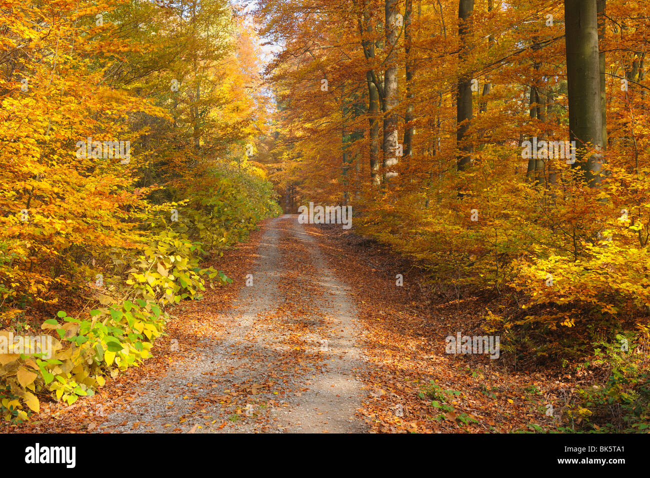 Spessart way hi-res stock photography and images - Alamy