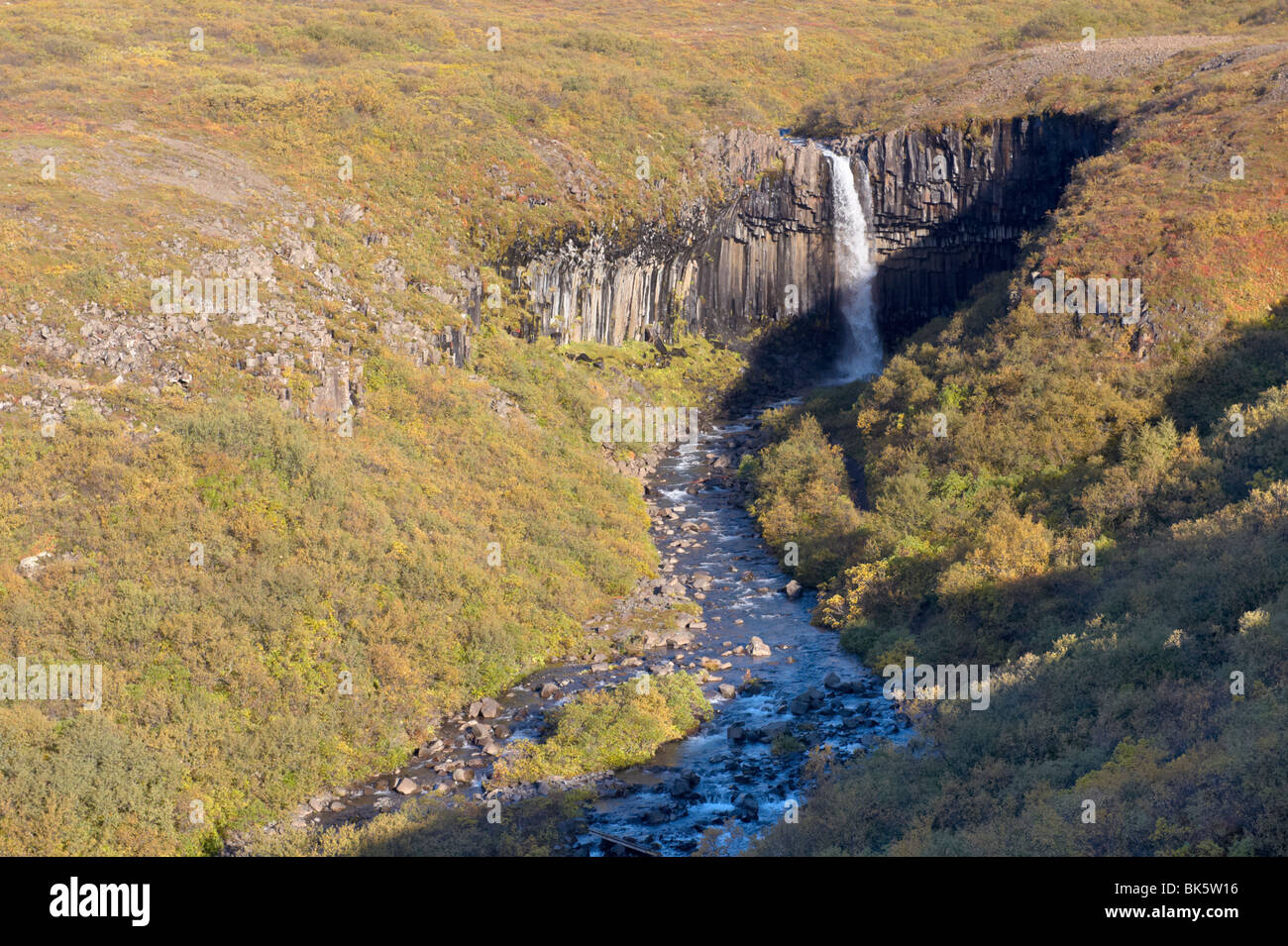 Svartifoss (Black Falls) waterfall, with overhanging black basalt ...