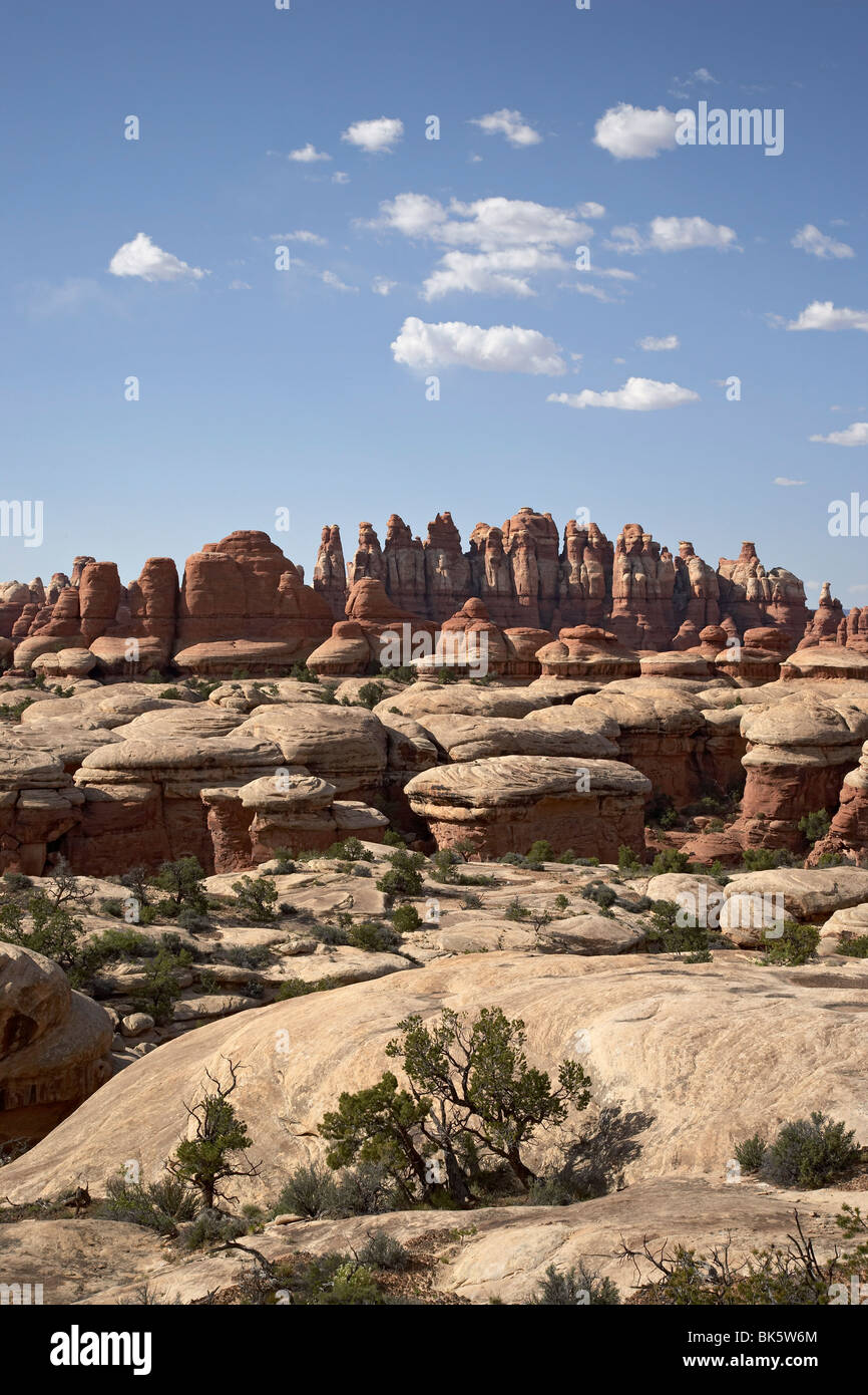 Needles near Elephant Hill, Canyonlands National Park (Needles District ...