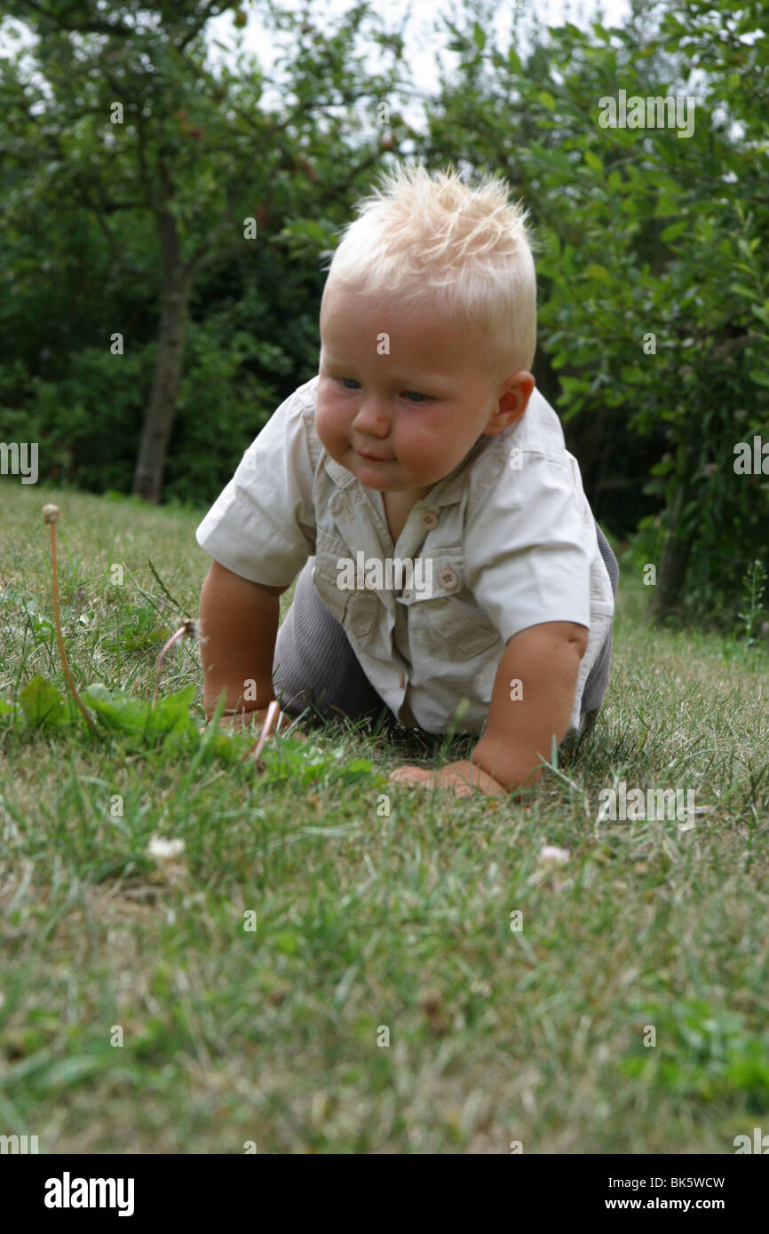 Toddler crawling outside yard hi-res stock photography and images - Alamy