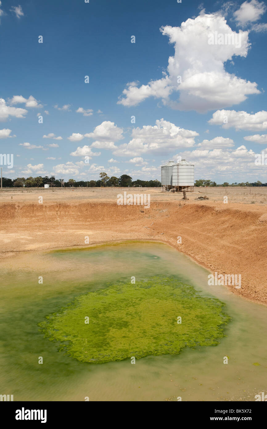 Drought australia farm hi-res stock photography and images - Alamy