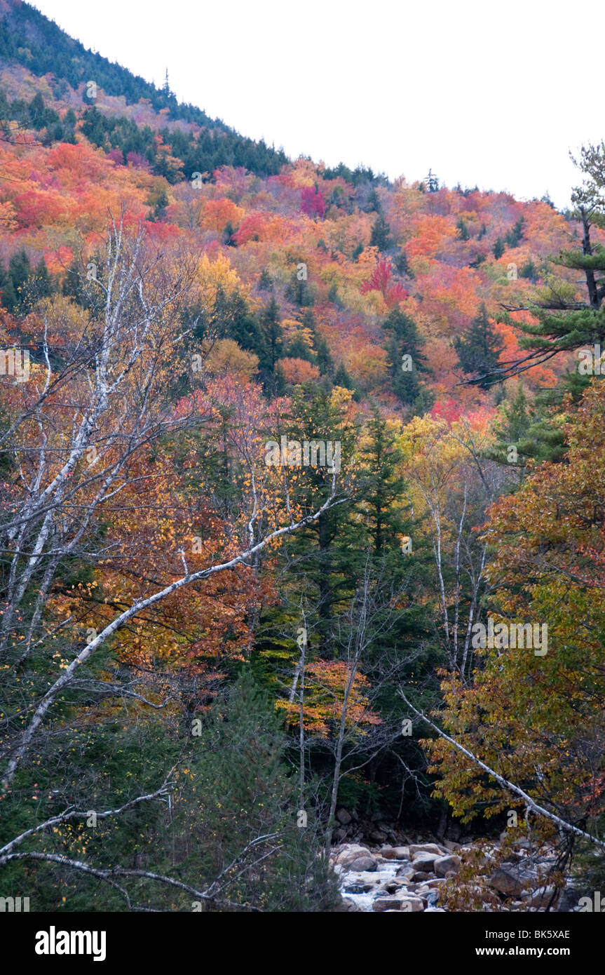 Fall Foliage,Autumn Colors,Colour,The Flume Gorge River,White Mountain ...