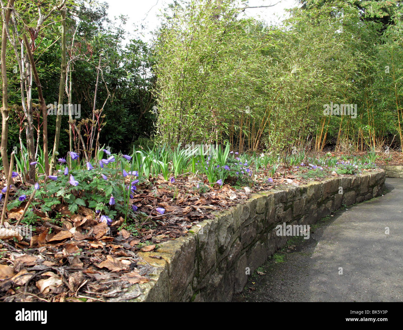 Pathside hi-res stock photography and images - Alamy