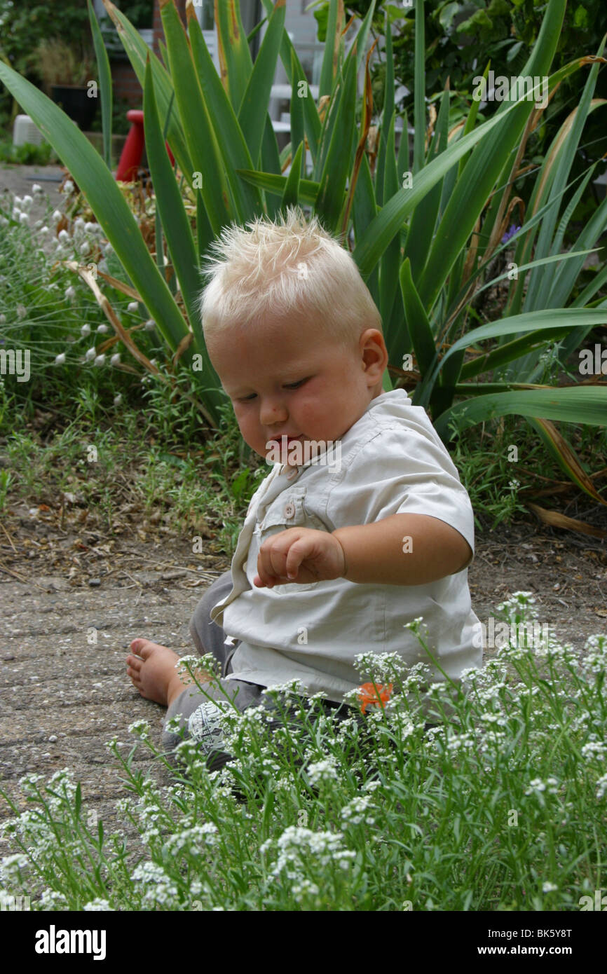 Baby boy exploring outside Stock Photo - Alamy