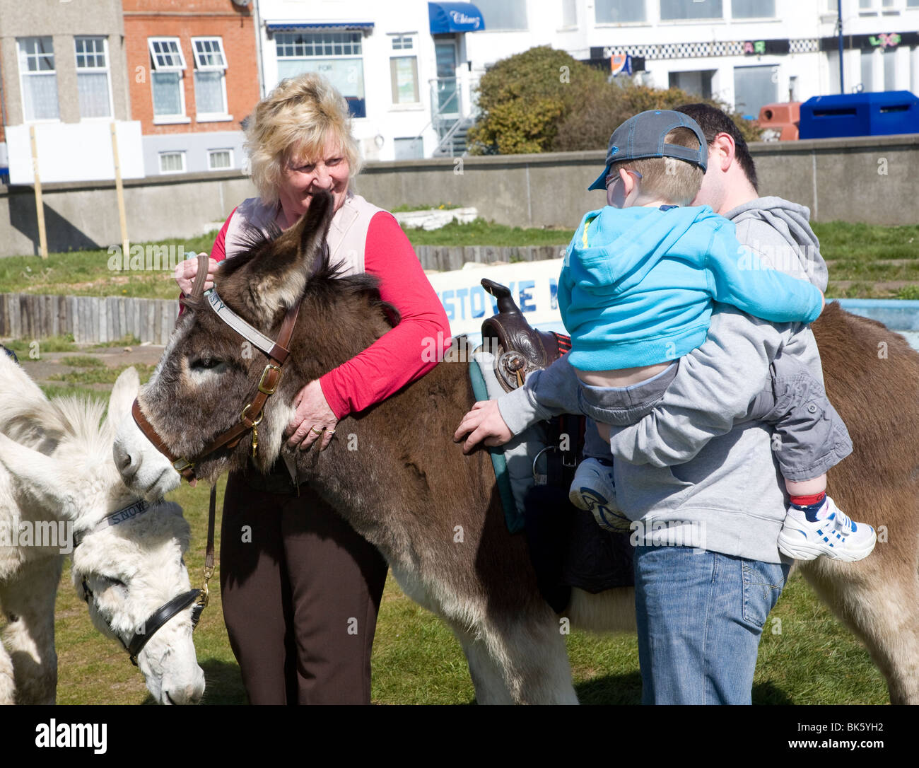 Riding donkey uk hi-res stock photography and images - Alamy