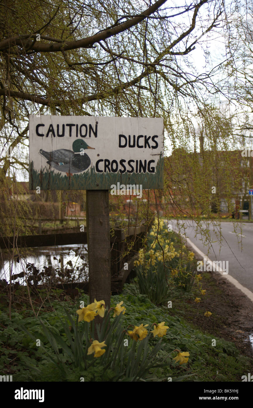 Village duckpond, Fryerning, Essex, England Stock Photo - Alamy