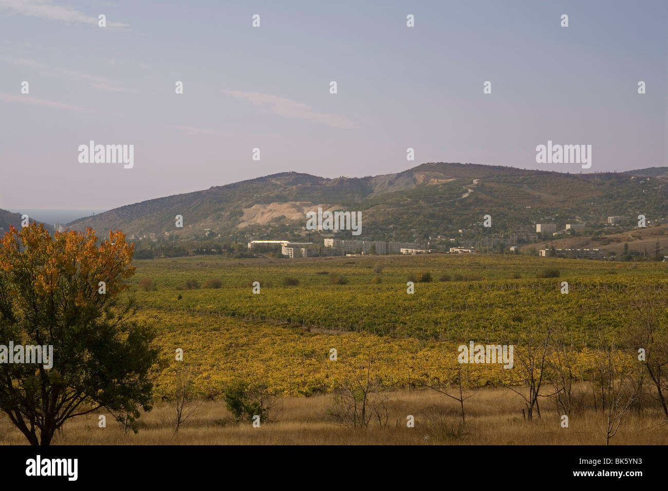 Battle of balaclava 1854 hi-res stock photography and images - Alamy