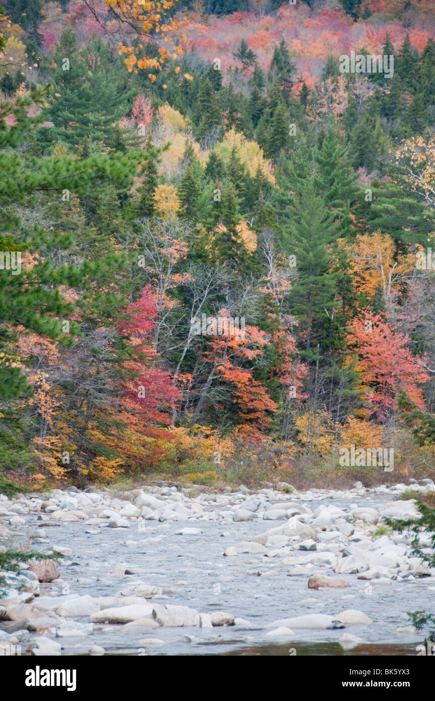 Fall Foliage,Autumn Colors,Colour,The Flume Gorge River,White Mountain National Forest,New ...