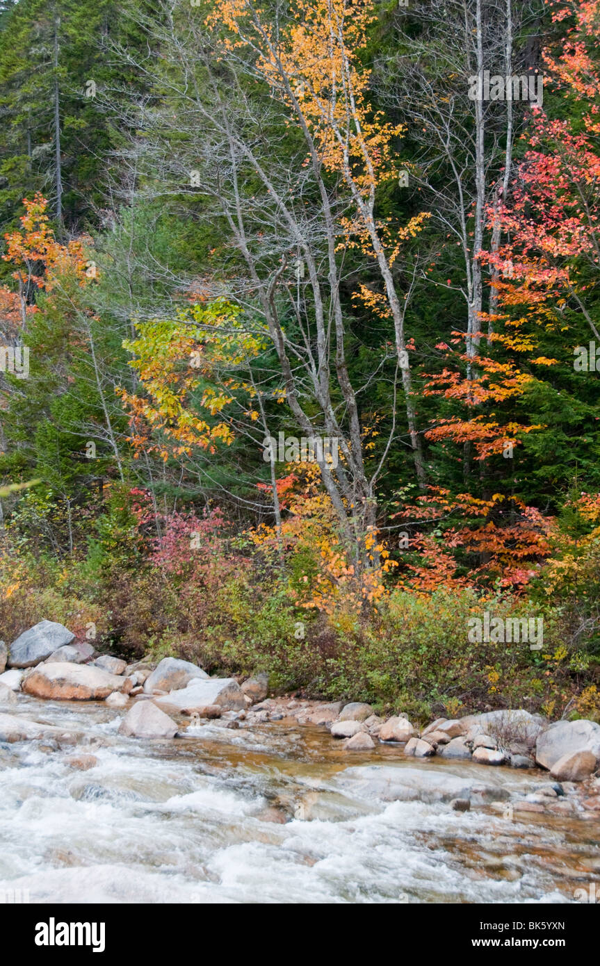 Fall Foliage,Autumn Colors,Colour,The Flume Gorge River,White Mountain ...