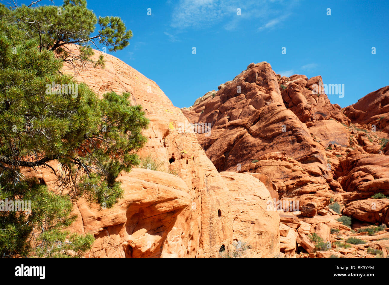 Red Rock Canyon National Park, Nevada Stock Photo - Alamy