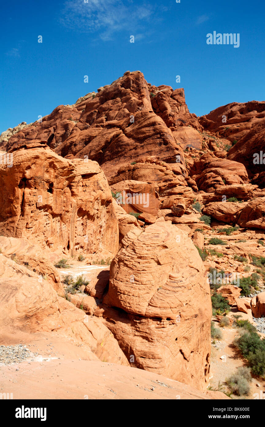 Red Rock Canyon National Park, Nevada Stock Photo - Alamy
