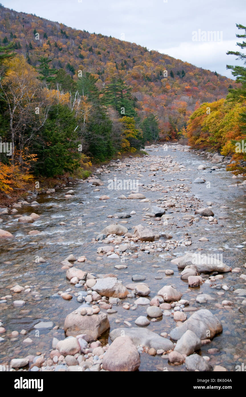 Fall Foliage,Autumn Colors,Colour,The Flume Gorge River,White Mountain ...