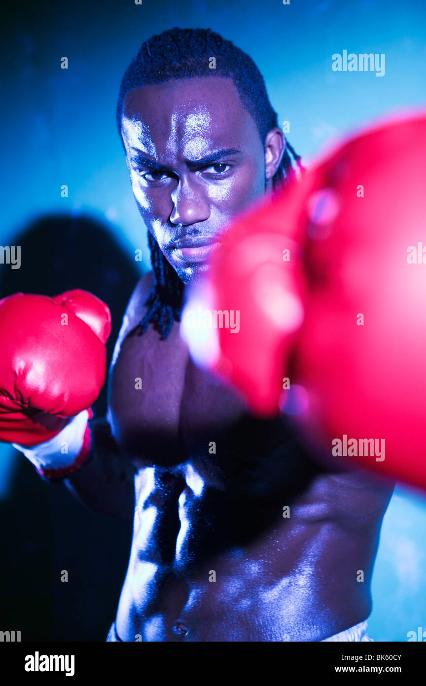 Portrait of a boxer practicing Stock Photo - Alamy