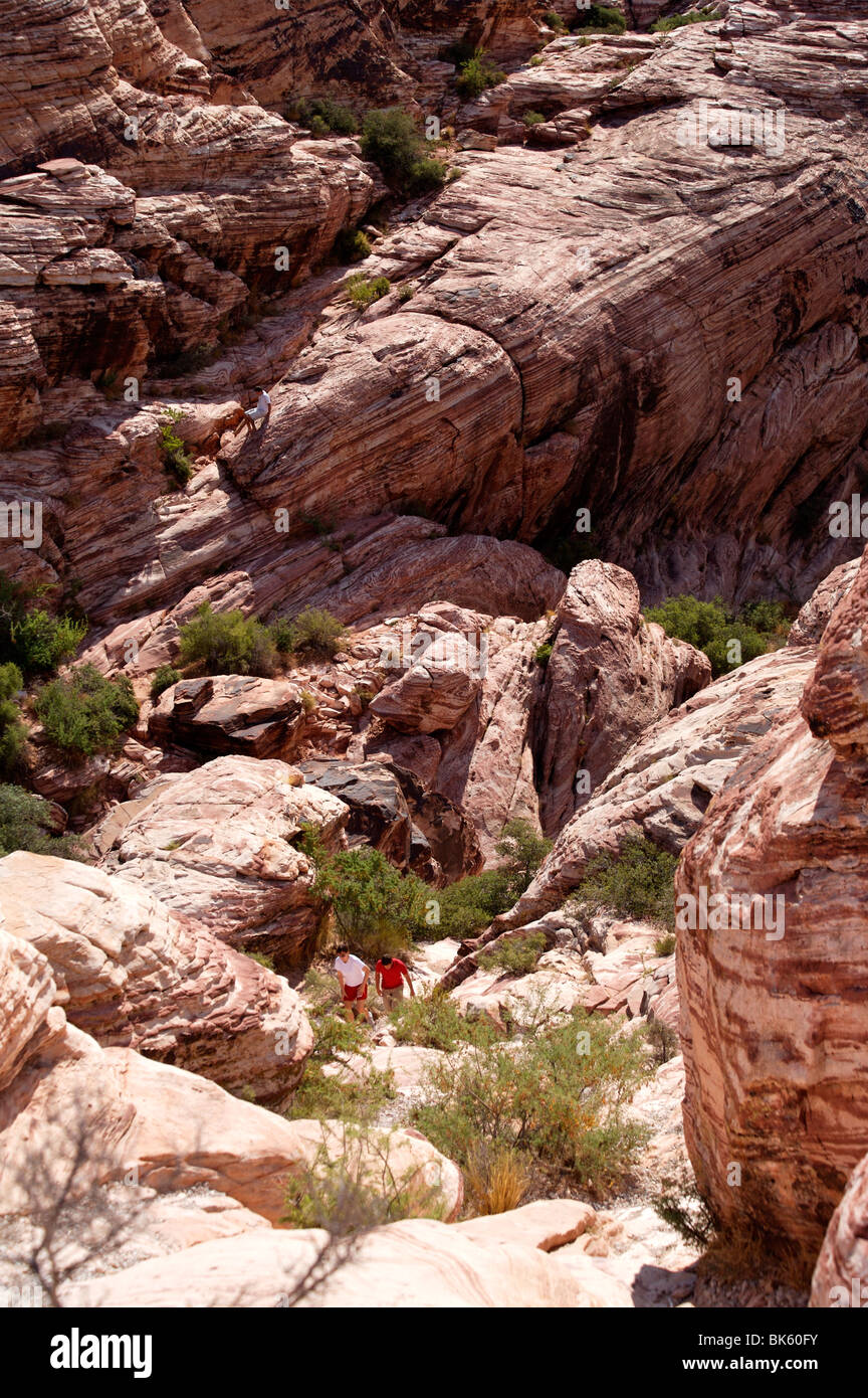 Red Rock Canyon National Park, Nevada Stock Photo - Alamy