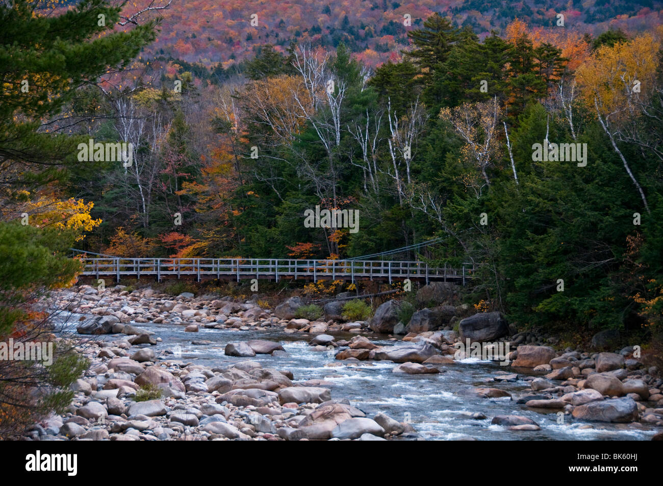 Fall Foliage,Autumn Colors,Colour,The Flume Gorge River,White Mountain ...