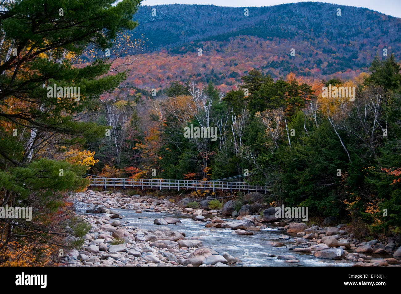 Fall Foliage,Autumn Colors,Colour,The Flume Gorge River,White Mountain ...