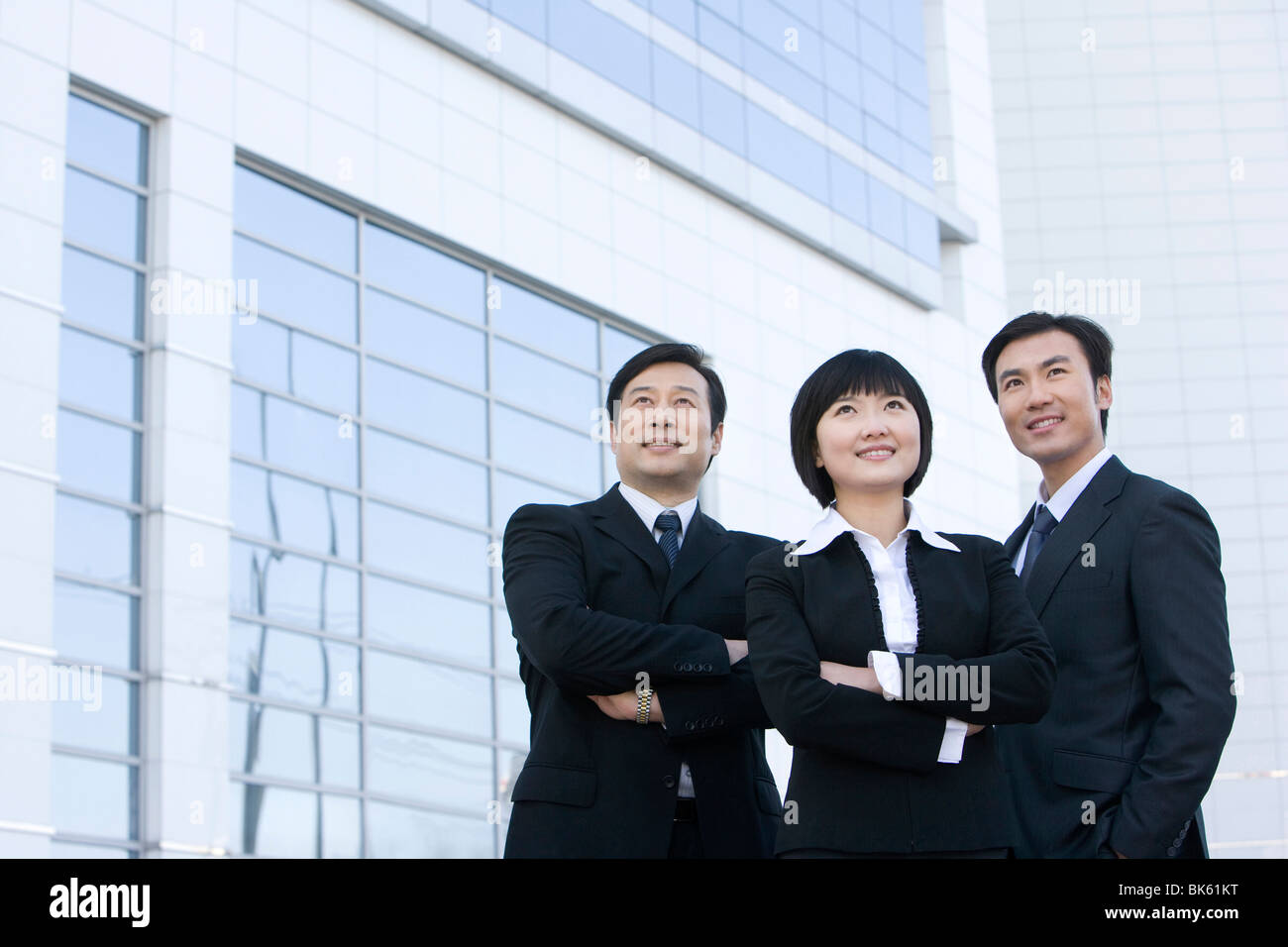 Management Level Business Team Stock Photo - Alamy
