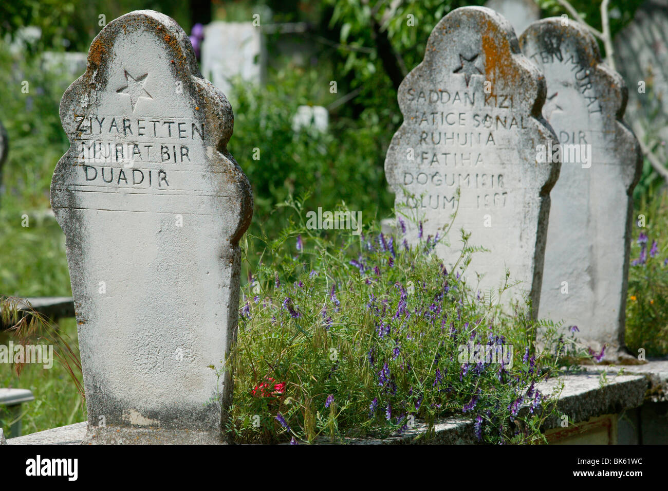 Muslim graveyard, Istanbul, Turkey, Europe Stock Photo - Alamy