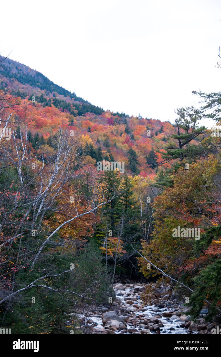 The Flume Gorge, Flume Gorge River,Autumn Foliage,Fall Colours,Follow the ColourWhite Mountain ...