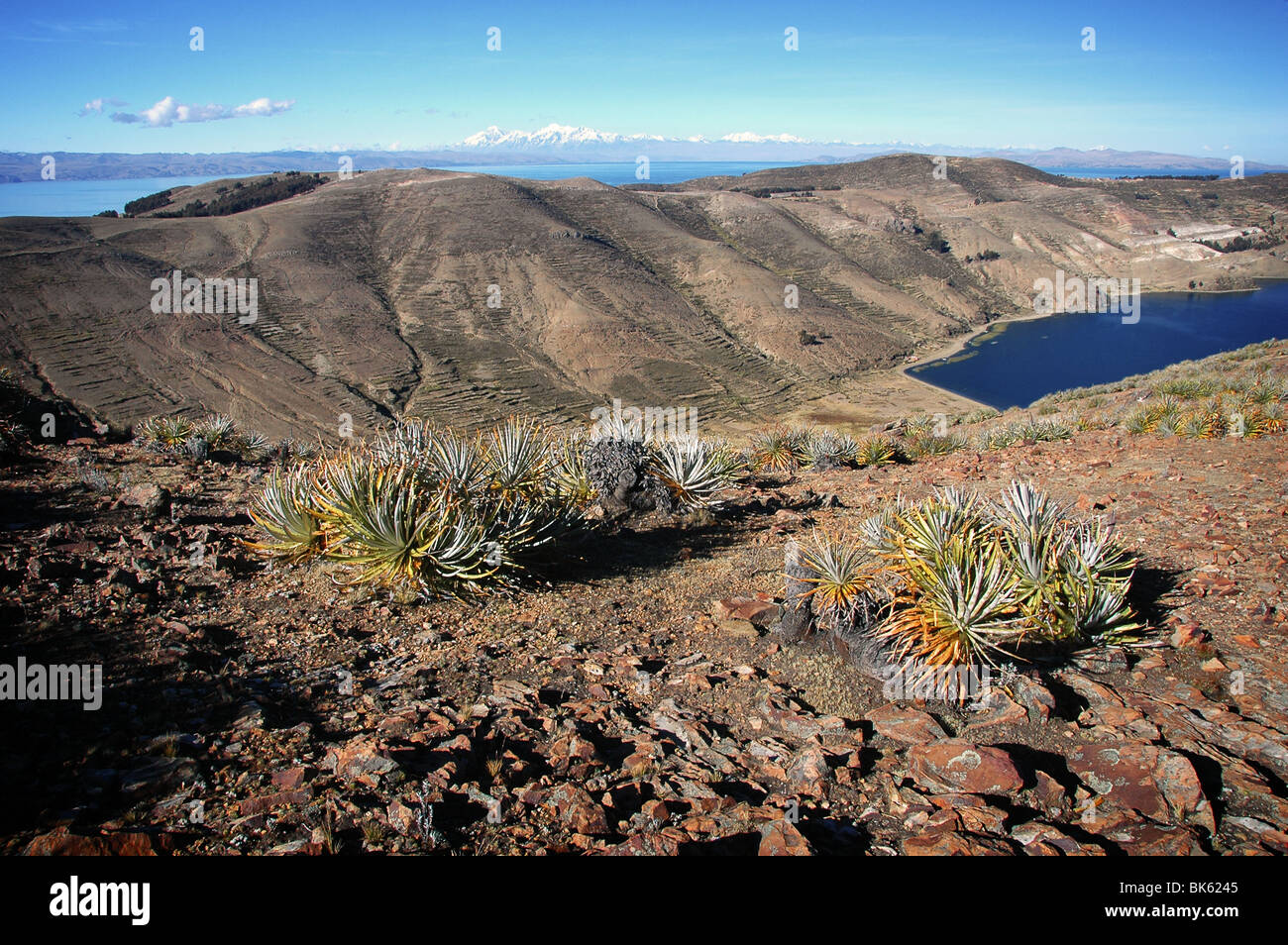 Isla del Sol, Bolivia Stock Photo - Alamy