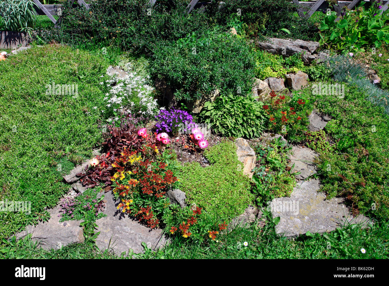 Czech Republic - Bohemian Forest - garden still-life Stock Photo - Alamy