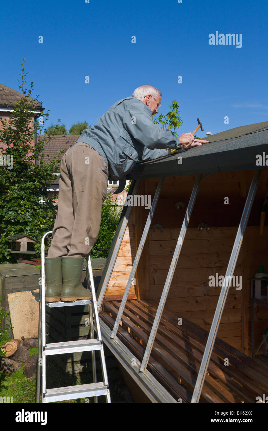 Elderly man up ladders, fixing the roof a potting shed, Wirral, England ...