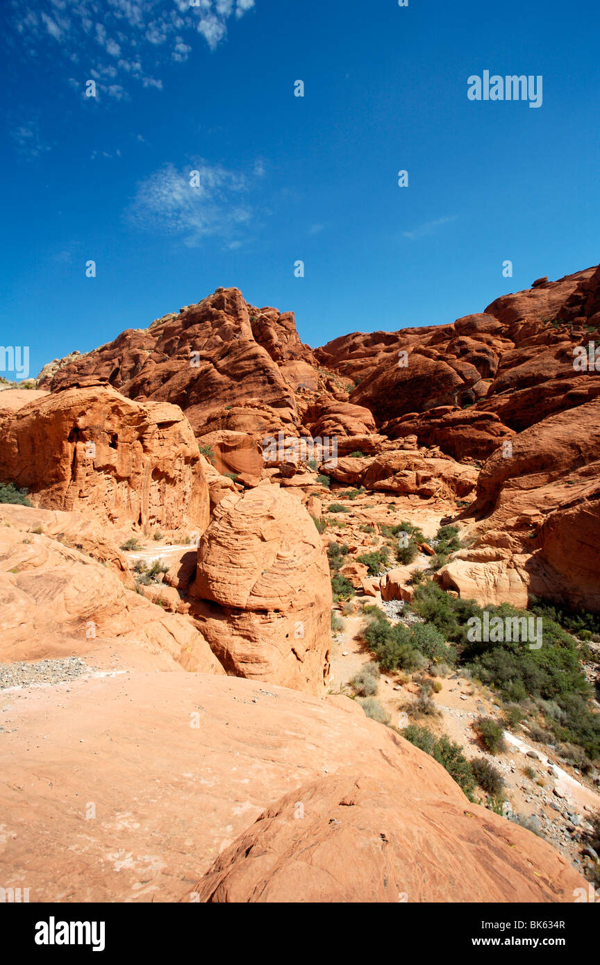 Red Rock Canyon National Park, Nevada Stock Photo - Alamy