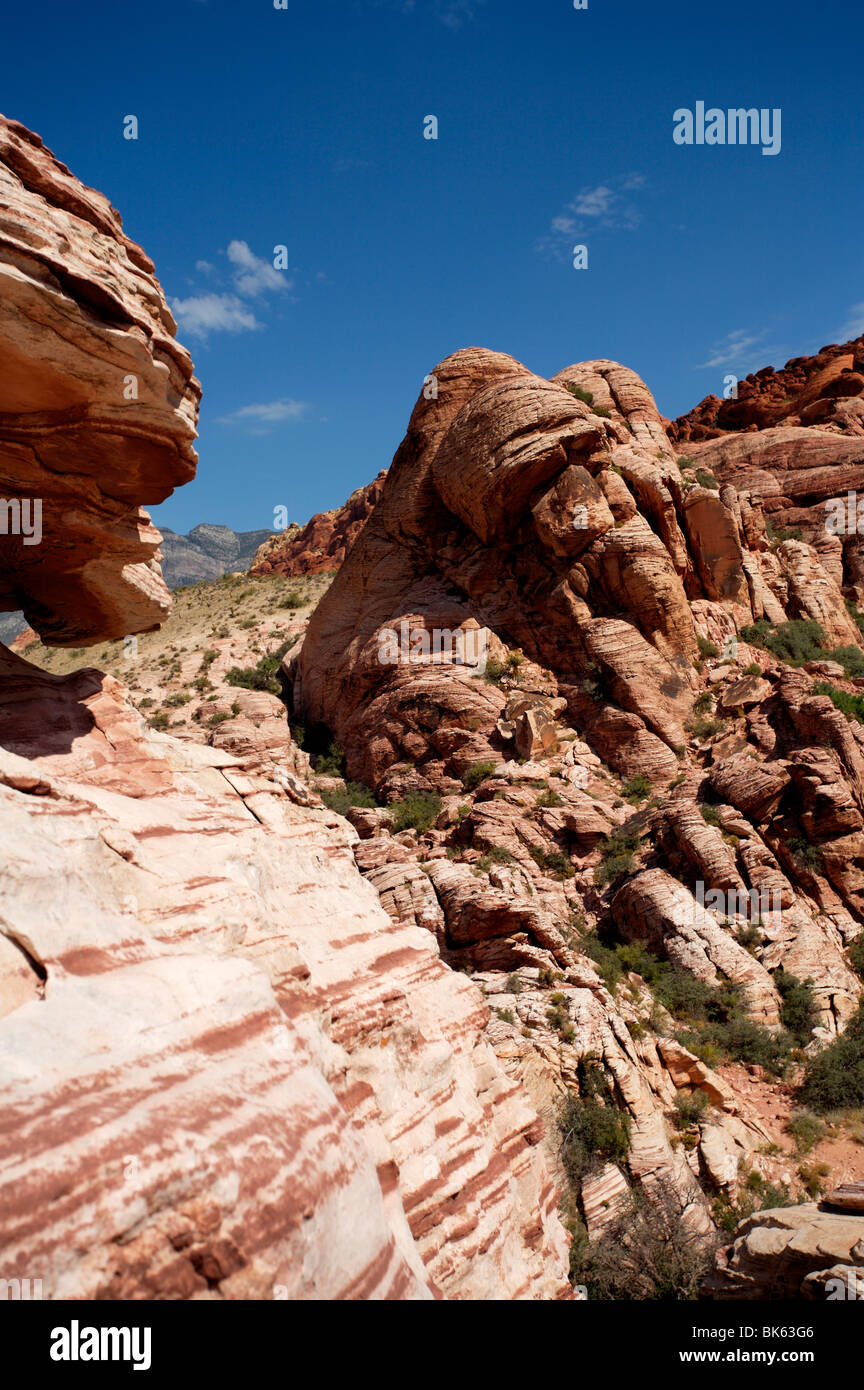 Red Rock Canyon National Park, Nevada Stock Photo - Alamy