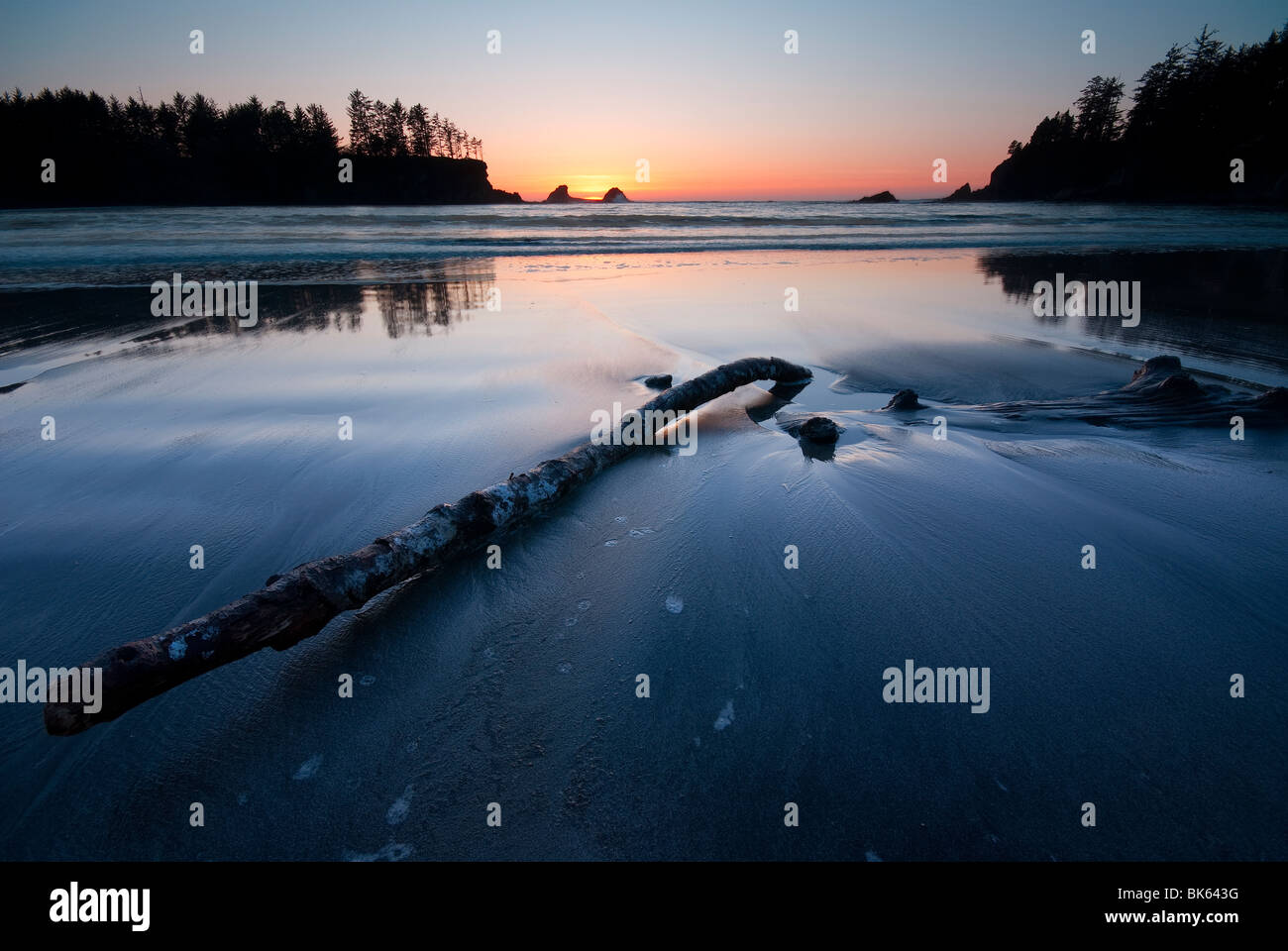 Coos bay branch hi-res stock photography and images - Alamy